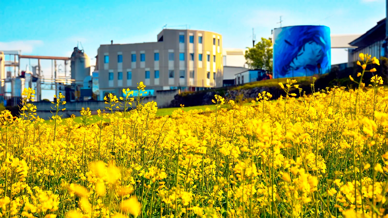 Roberlo - Changing Color Values